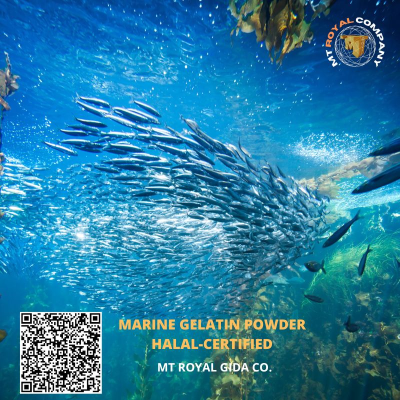 Marine gelatin powder halal-certified - MT ROYAL