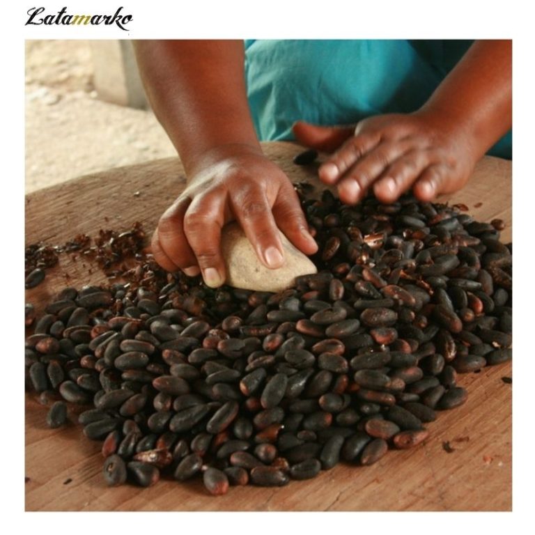 List of raw materials for chocolate production - MT ROYAL