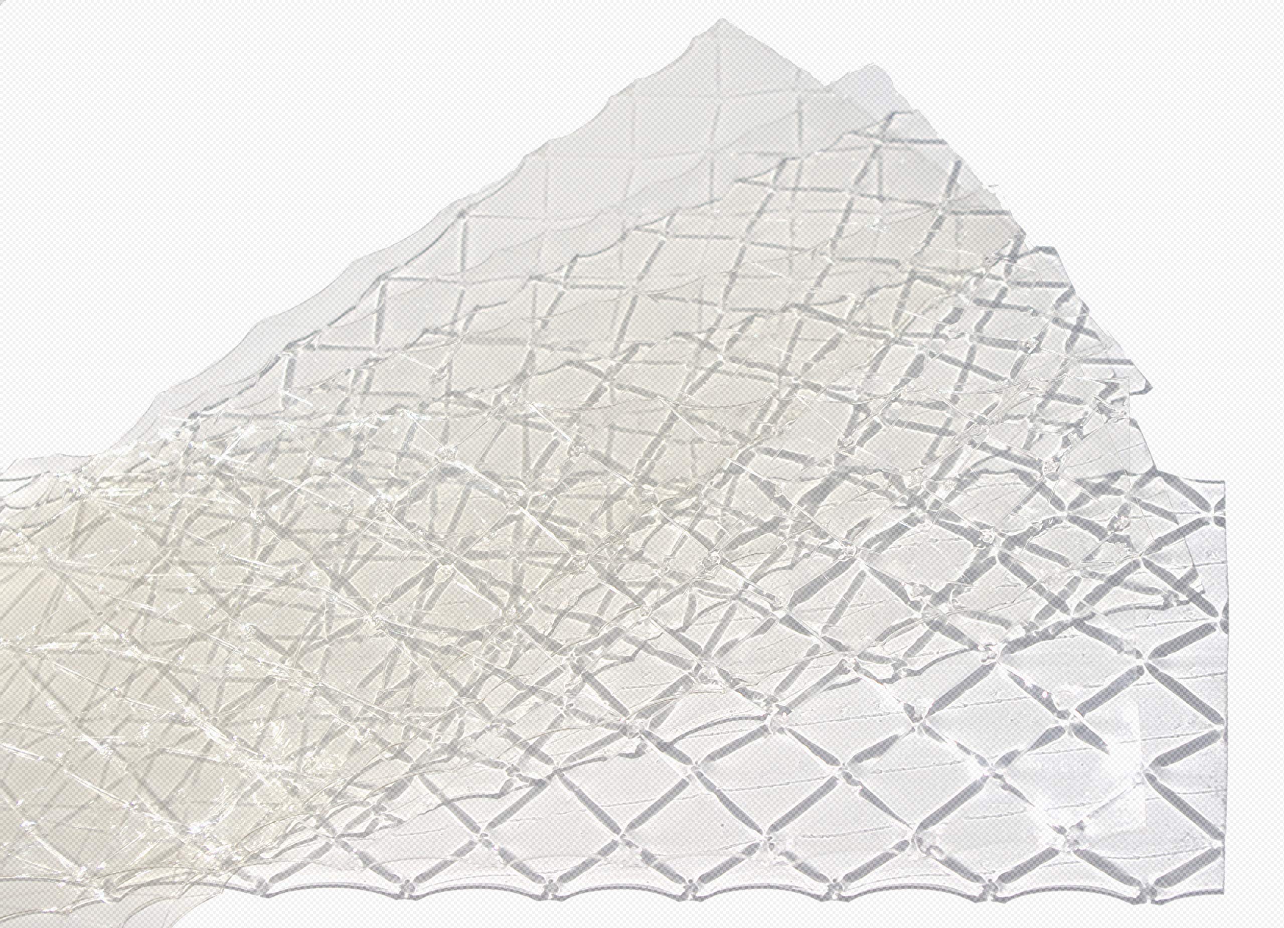 Gelatin Sheets – Platinum Grade (230 Bloom) - MT ROYAL