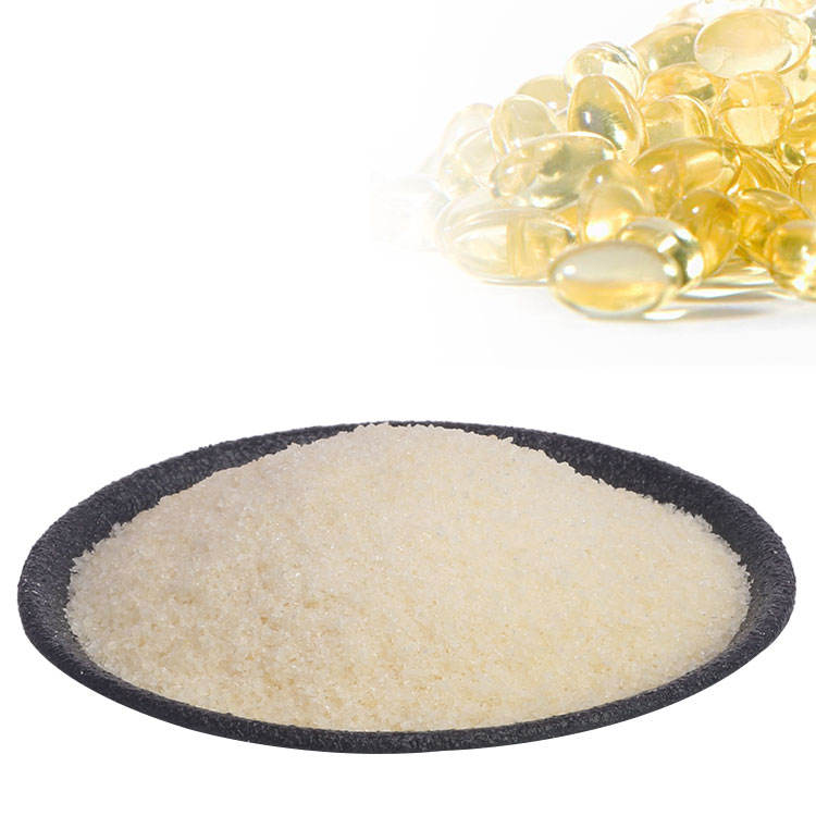 Halal Gelatin Powder – 250 Bloom - MT ROYAL