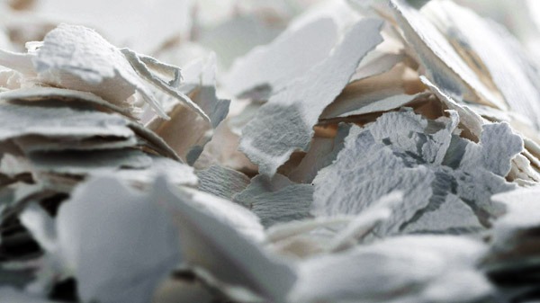 Acetate Grade Pulp Supplier - MT ROYAL