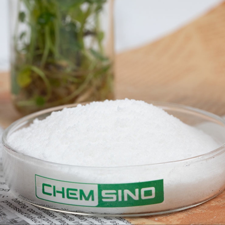 Lactic Acid Esters of Mono‑ and Diglycerides (E472b) Supplier - MT ROYAL