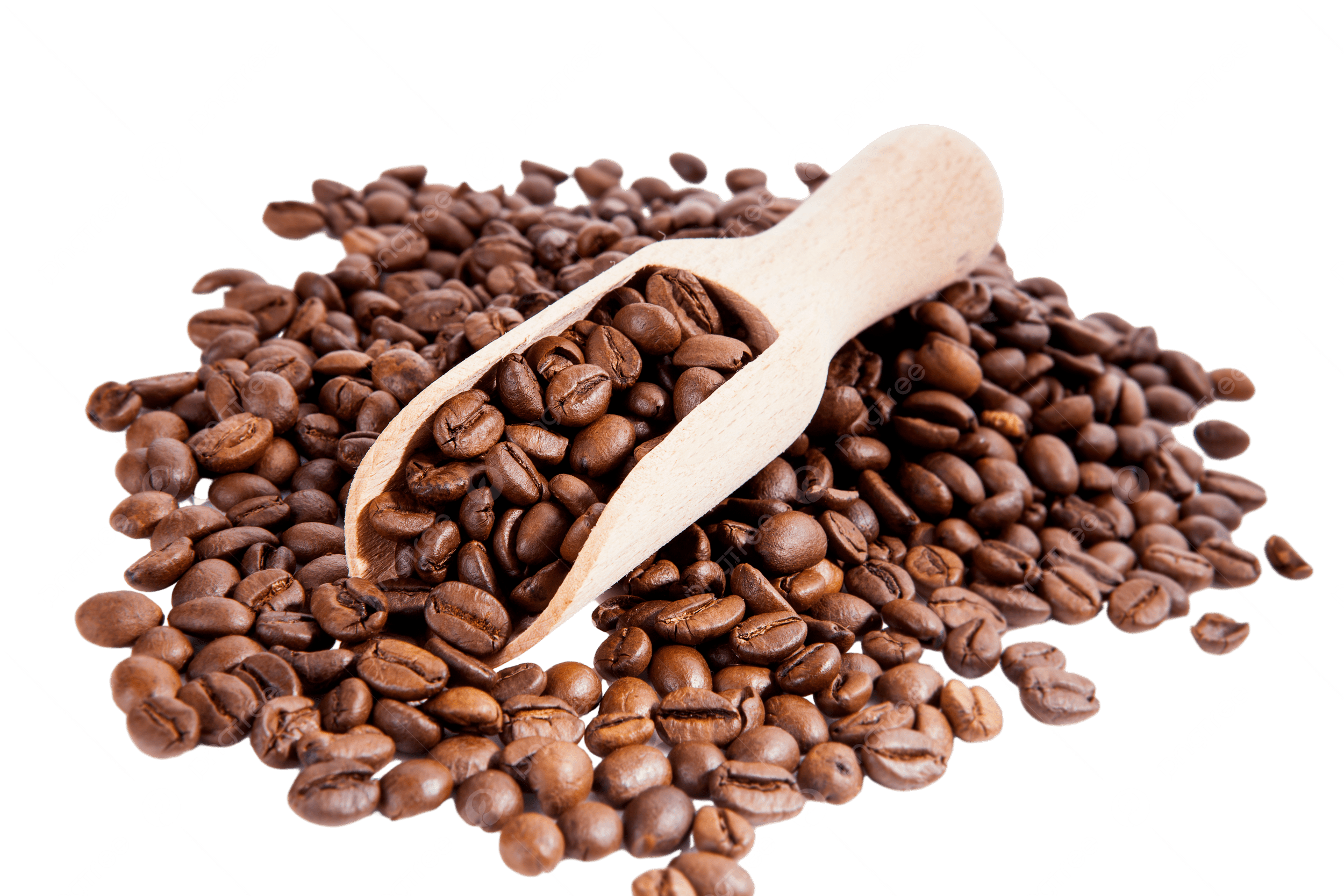 Spray-Dried Instant Coffee 20kg Pack - MT ROYAL