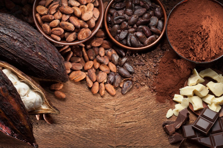 PASTINO Dark Cocoa Powder – One of Türkiye’s Best Options - MT ROYAL